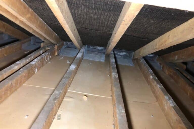 Rodent Proofing Your Attic: Best Practices for Homeowners | My ...